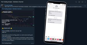 The Trading Analyst | Premium Options Trading Alert Service